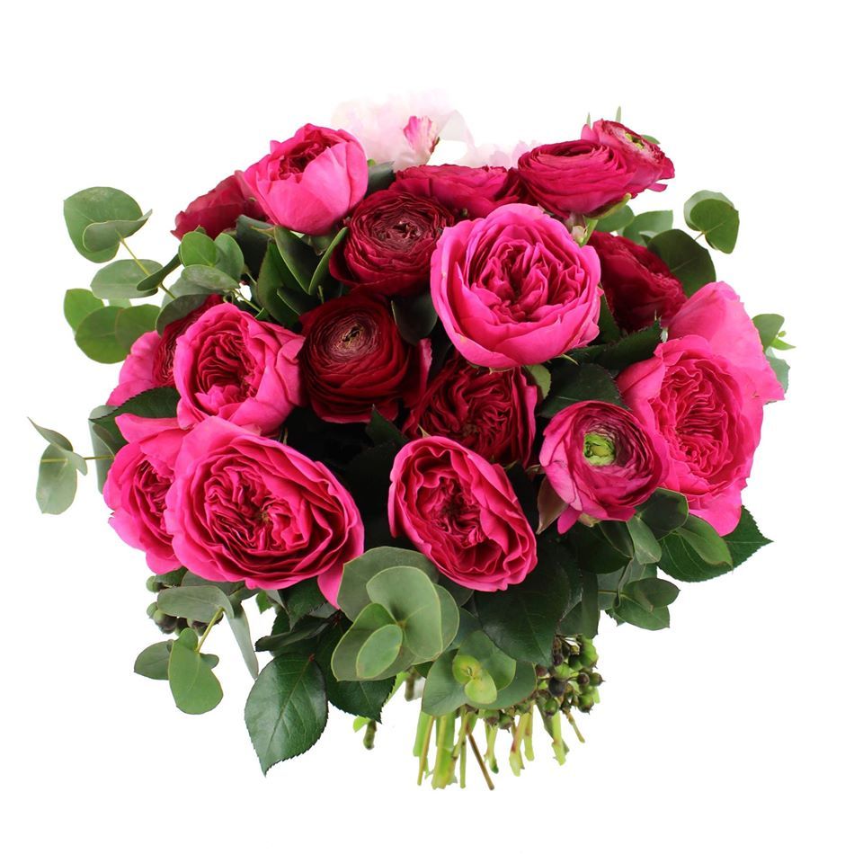 Floraria Iris - Bucuresti